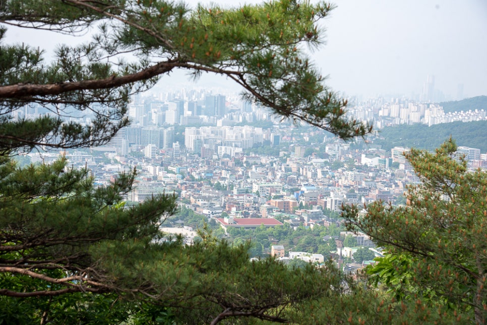 청와대 뒷산 북악산 등산코스 서울등산 초보코스 춘추관-칠궁 : 네이버 블로그