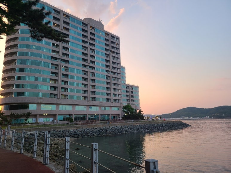 통영 금호 마리나 리조트 스위트프리미어 후기 깔끔하고 완벽한 가족여행 가성비 숙소 네이버 블로그