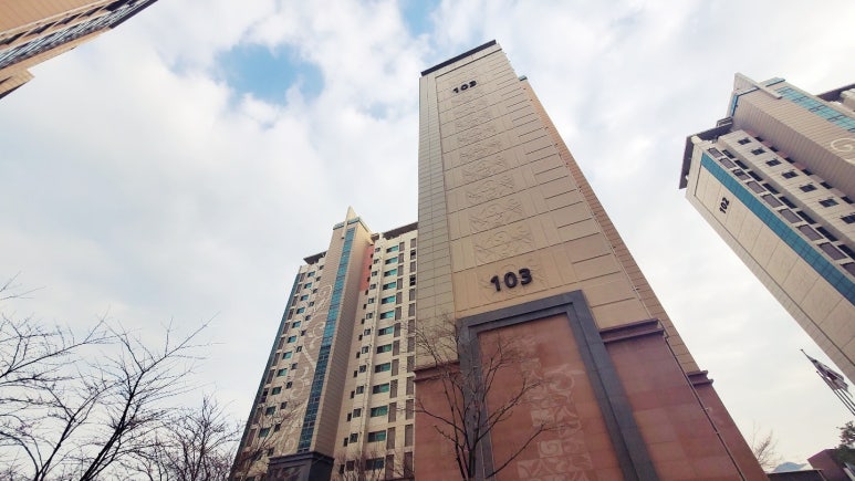 집합건물의 소유 및 관리에 관한 법률 구분소유권 구분소유자의 권리와 의무 공용부분★ 네이버 블로그