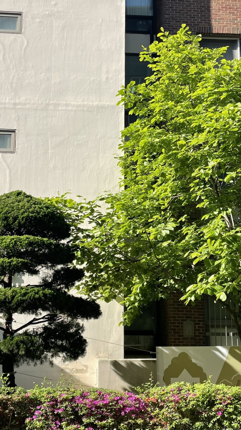 우당탕탕 3학기 : 네이버 블로그