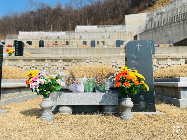 22년 묘지개장신고서 발급받기 컴퓨터오프라인개장신고서 양식 나눔 네이버 블로그