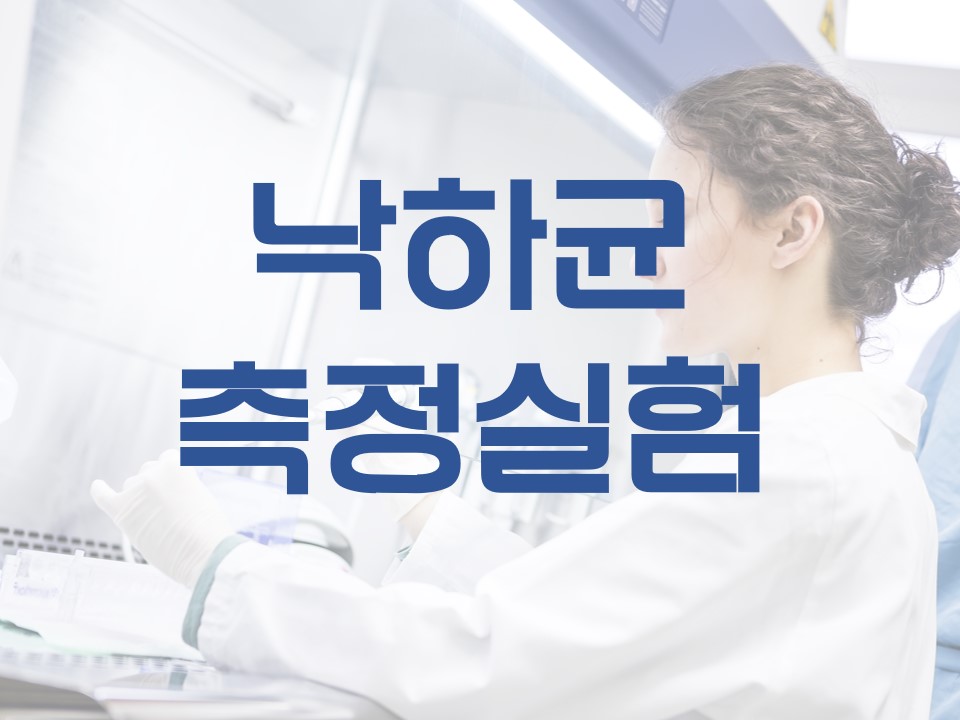 미생물 실험 낙하균 측정실험 실험방법 알아보기 간단한 미생물실험 네이버 블로그