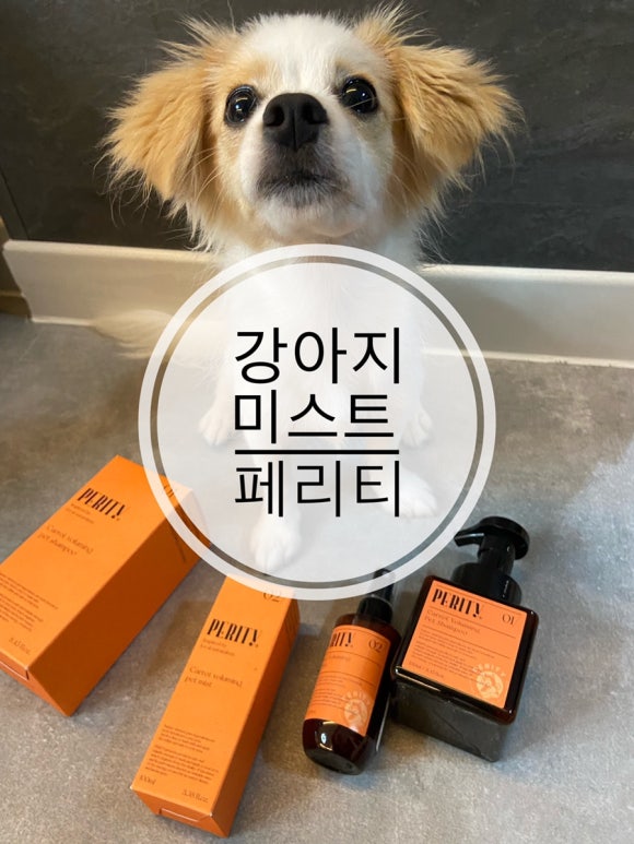 강아지 피부 질환 예방 각질 비듬에 도움을 주는 페리티 펫 미스트 네이버 블로그