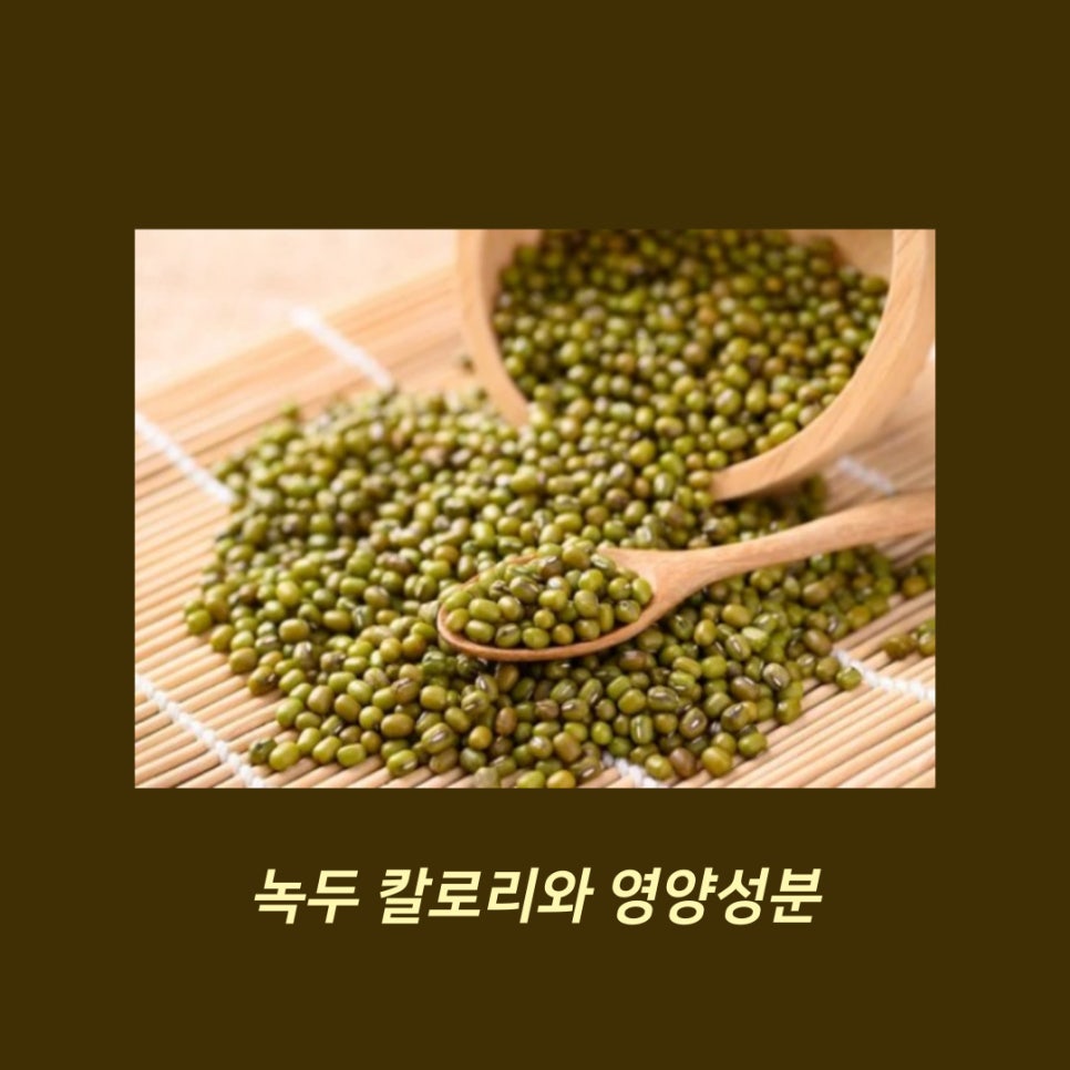 김센스네 집 네이버 블로그