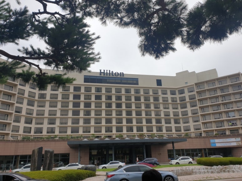 아이와 함께 경주 힐튼호텔 뷔페 호텔뷔페 레이크사이드 런치 뷔페♡ 네이버 블로그
