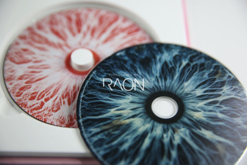 디피알 이안 DPR IAN - Moodswings In To Order [MITO] 피지컬 CD 언박싱 UNBOXING : 네이버 블로그