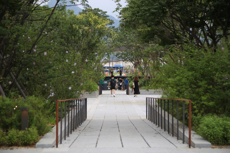 서울 가볼만한곳 광화문 놀거리 광화문광장 디지코가든 꿀정보 네이버 블로그