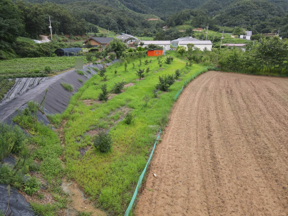 충북 증평 토지매매 증평군 증평읍 송산리 주말농장용으로 사용하기 좋은 농지 매매 네이버 블로그