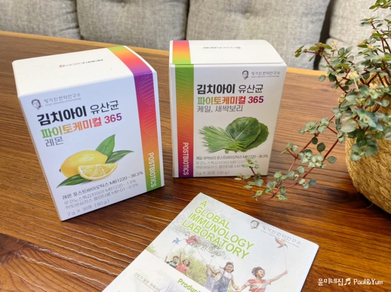 김치유산균 정가진면역연구소 프로바이오틱스 식물성유산균 네이버 블로그
