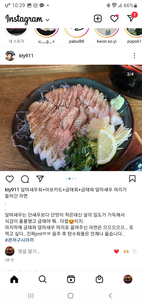 대전맛집 관저동맛집 관저동이자카야 관저동술집 관저동포장맛집 대전포장맛집 대전딱새우맛집 통찜용오징어입고 한우육사시미 대전우니 대전