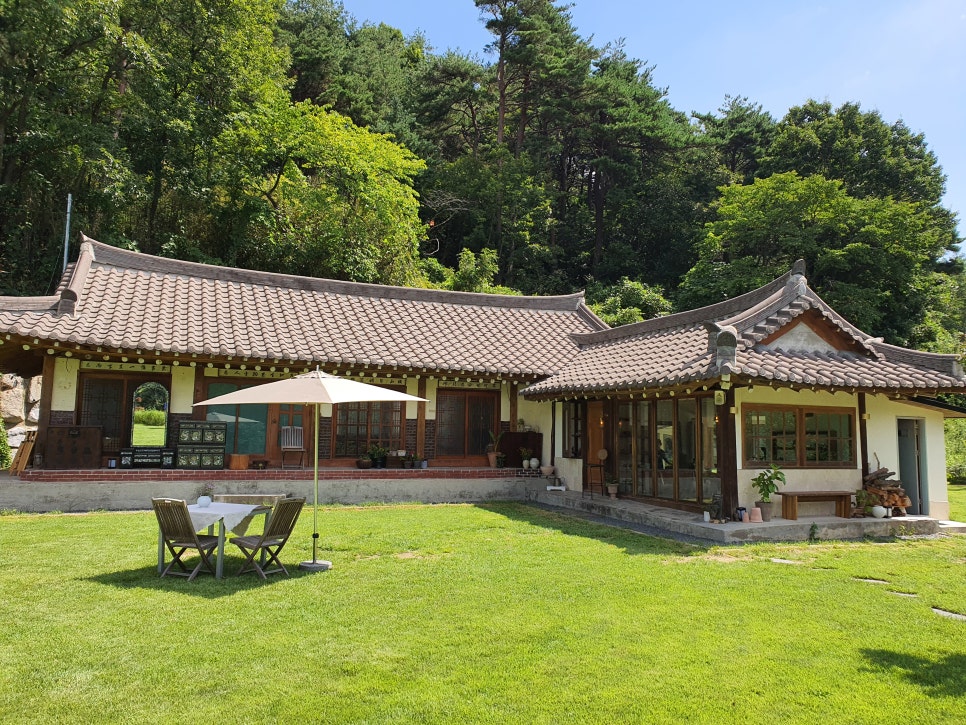 강릉 애견동반 여행 : 르꼬따쥬 강력추천 (재방문의사200%) : 네이버 블로그