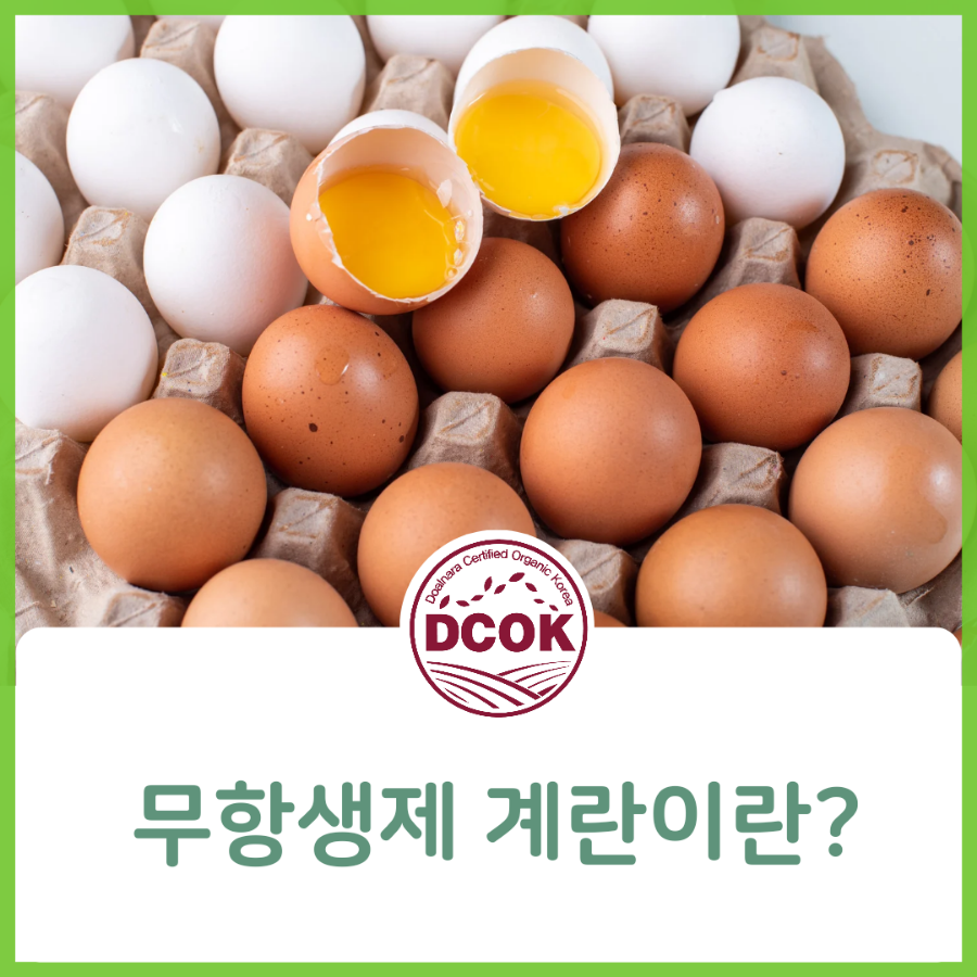 무항생제 계란 인증 무항생제축산물 인증기관 Dcok 돌나라유기인증코리아 네이버 블로그