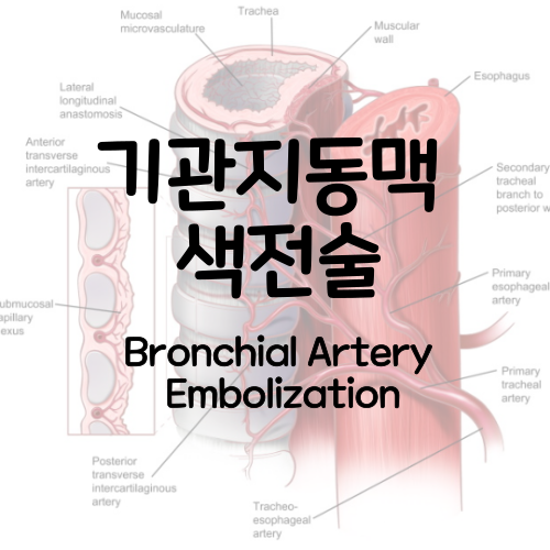 오늘도 윤모닝:-D : 네이버 블로그
