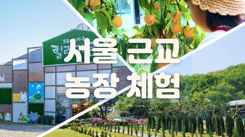 서울 근교 농장체험 추천 게으른농부 초록미소마을 비욘더팜 시흥 농장체험 평택 농장체험 하남 농장체험
