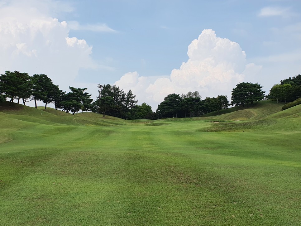 한림용인cc 접근성 좋고 재미있는 코스로 라운딩 떠나요 Ft 구 레이크힐스 용인 네이버 블로그