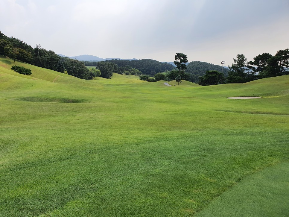 한림용인cc 접근성 좋고 재미있는 코스로 라운딩 떠나요 Ft 구 레이크힐스 용인 네이버 블로그