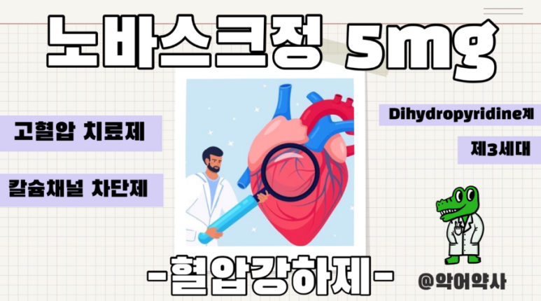 노바스크정 5mg 암로디핀 치료 효과와 주의점 네이버 블로그