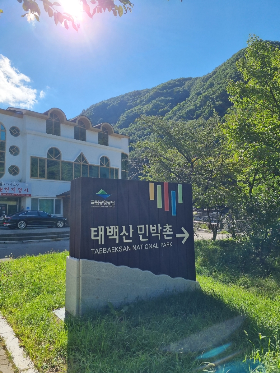 강원도 태백 숙소 태백산 숙소 추천 가성비 좋은 태백산 민박촌 개인형2인실 네이버 블로그