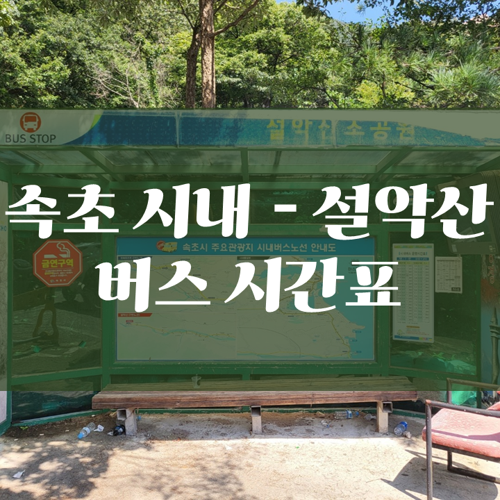 【속초 설악산 버스 타고 가는법 7 7 1번 버스 시간표】 네이버 블로그