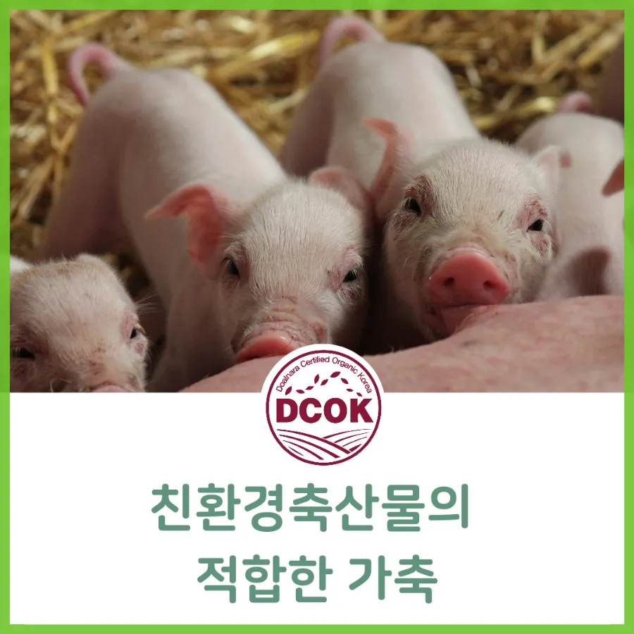 친환경축산물 가축 번식 방법 및 입식 인증기준 친환경농축산물인증 Dcok 돌나라유기인증코리아입니다 네이버 블로그