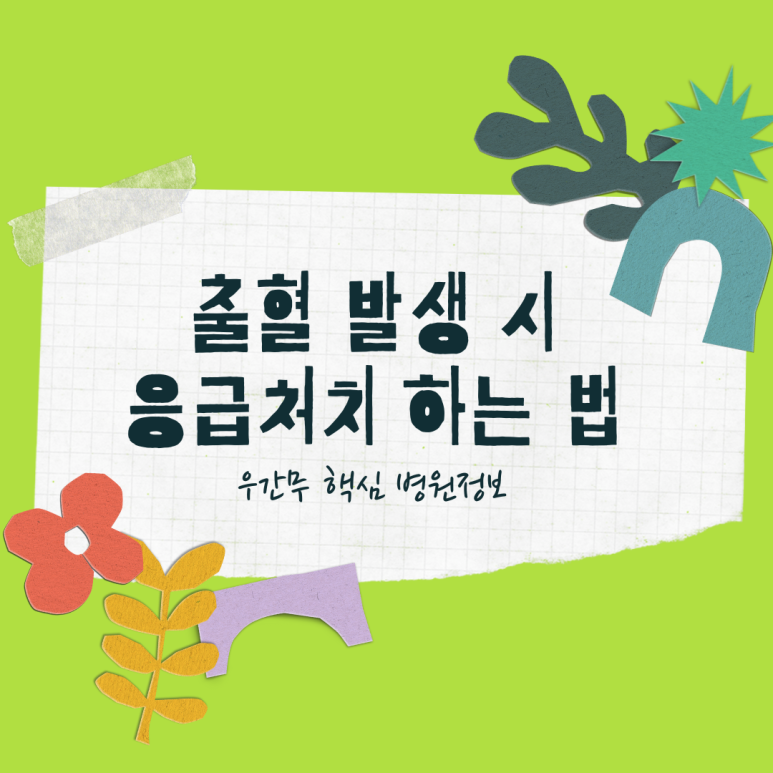 출혈 발생 시 응급처치하는 방법 네이버 블로그