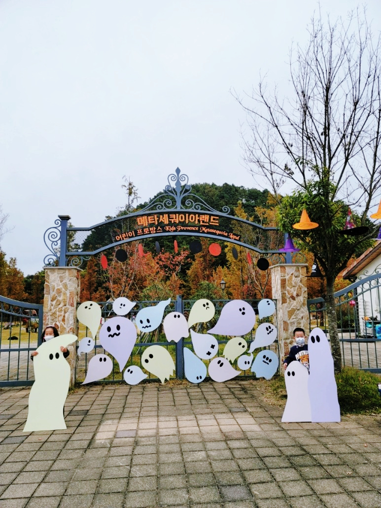 담양 가볼만한곳 메타세콰이어랜드 And 어린이 프로방스 방문 후기 네이버 블로그