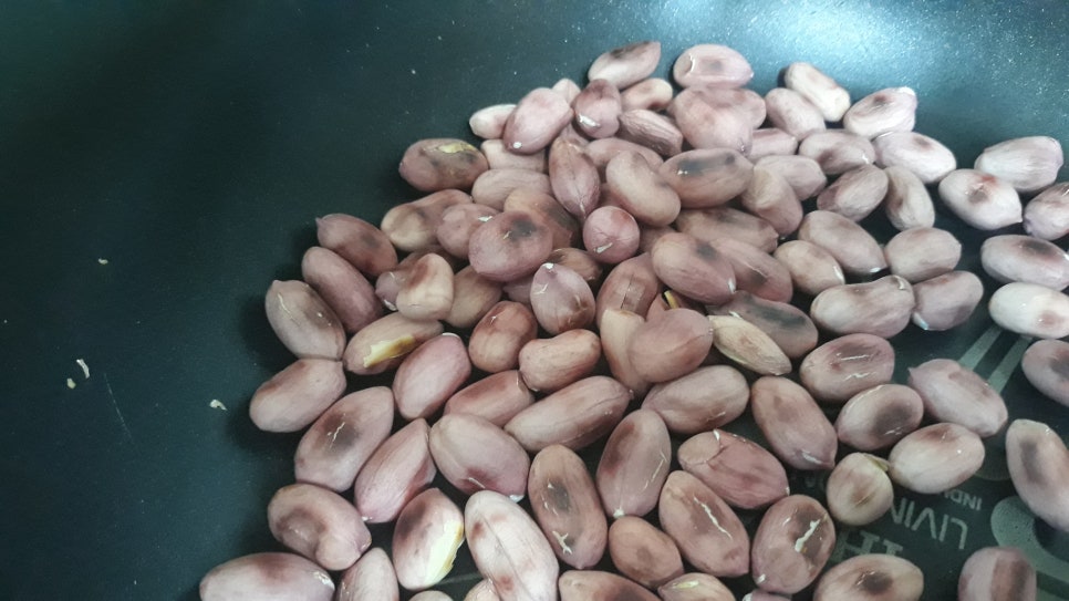 땅콩수확시기 파종시기심는 시기 땅콩심기 키우기 방법 네이버 블로그