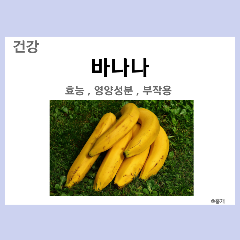 바나나 효능 바나나 영양성분 바나나 부작용 바나나 칼로리 바나나 탄수화물 바나나 단백질 네이버 블로그