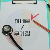 미네랄 효능 미네랄 음식 종류 알아보기 네이버 블로그