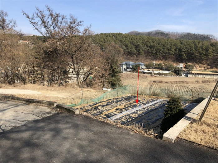 양평토지대지경매 2022타경 246 양평군 양서면 복포리 188 4 경매 네이버 블로그