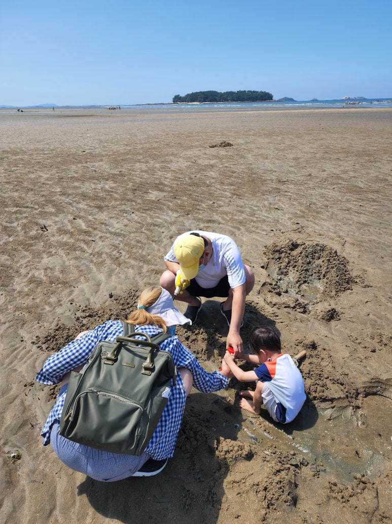 부안 변산반도 고사포해수욕장변산 해루질 입문 조개잡이 맛조개 잡는 방법 네이버 블로그