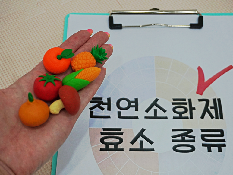 천연소화제 종류 및 효소의 기능 효소 효능 소화효소제 네이버 블로그