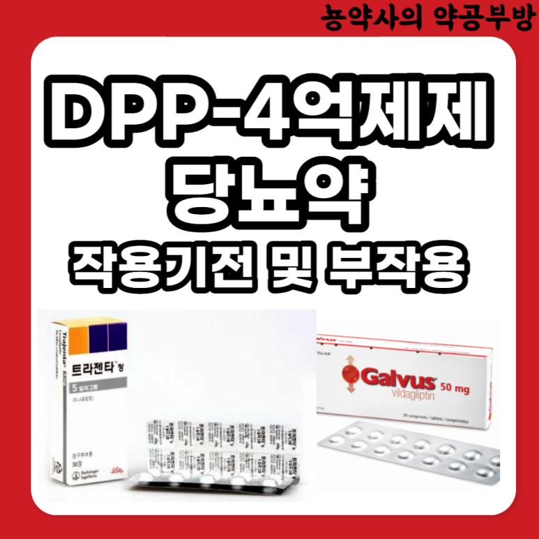 DPP-4 억제제 당뇨약 작용기전 및 부작용 (자누비아정, 트라젠타정, 제미글로정, 네시나정, 가브스정, 온글라이자정) : 네이버 블로그