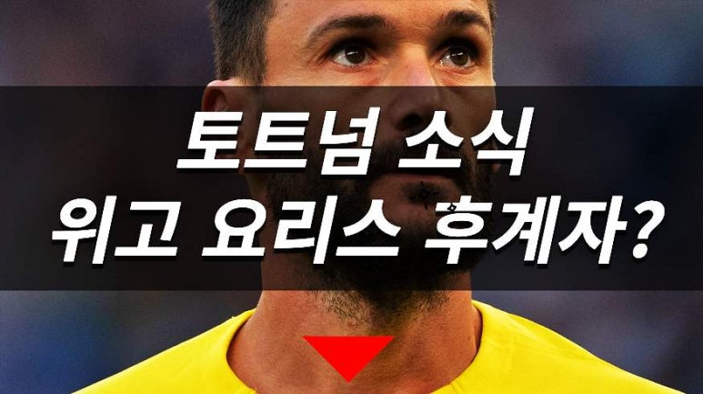 토트넘 소식 위고 요리스 후계자 얀 오블라크 지목 네이버 블로그