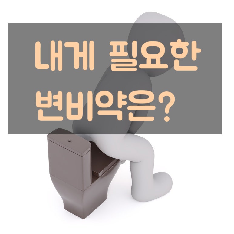 변비약 아기오듀파락이지아락실메이킨비코그린에스정 엠티정 둘코락스에스세노비아에프정 네이버 블로그