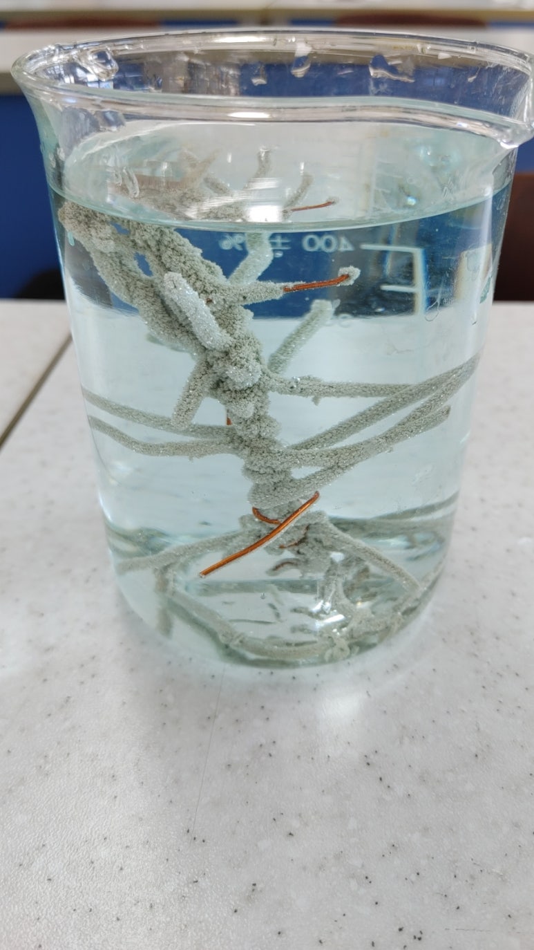 은나무 만들기 : 네이버 블로그