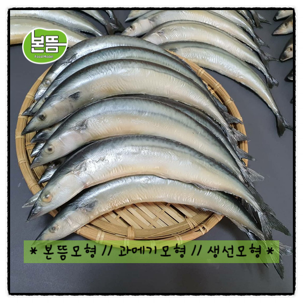 지역특산물축제모형 과메기모형~생선모형~포항구룡포과메기축제~음식모형~본뜸음식모형~축제모형~ 네이버 블로그