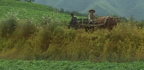 김용임 - 꿈에 본 내 고향 ( 1954년 한정무 원곡 박두환 작사 김기태 작곡 ) : 네이버 블로그