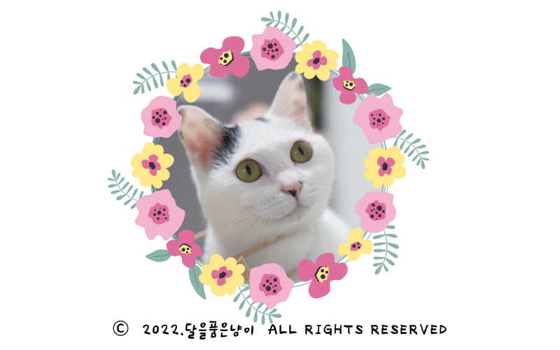 MLST-2 학습전략검사 해석 : 네이버 블로그