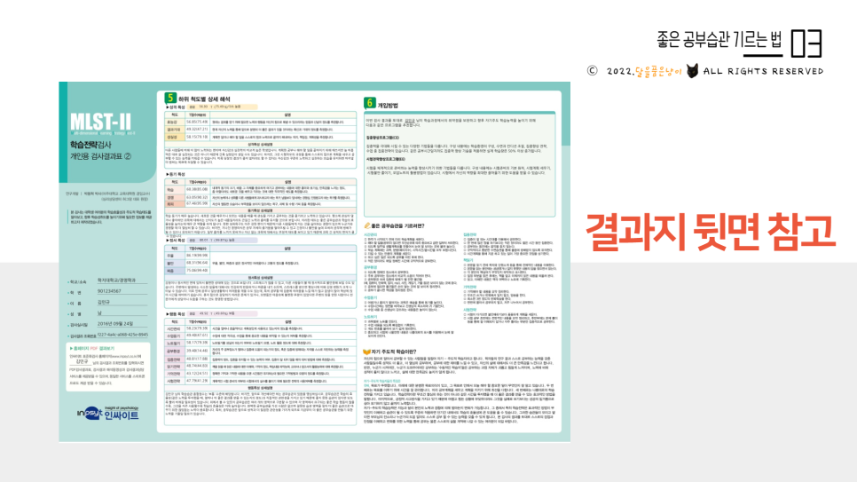 MLST-2 학습전략검사 해석 : 네이버 블로그