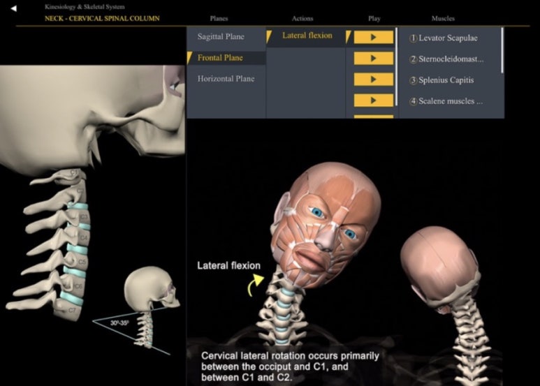 경추측굴(Neck lateral flexion)8가지 근육 위치,기능 : 네이버 블로그