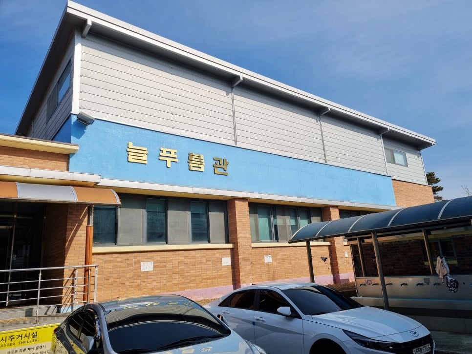 전북 순창 풍산초등학교 다목적 체육관강당 다오코리아 안전 보호벽 매트안전 패딩 설치 네이버 블로그
