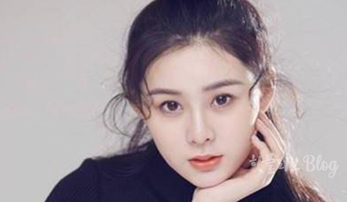 구준엽 서희원 결혼 전남편 왕소비 행복하길 자녀 최근 대만 쉬시위안 왕샤오페이 재벌 2세 이혼 이유 사유 위자료 어머니 갈등