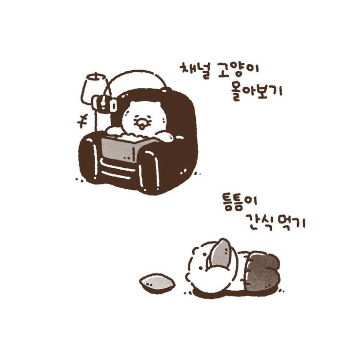 춘식이 Qanda 2탄춘식이 이름 이유 춘식이 고최몇 춘식이 좋아하는 음식 춘식이 냥줍 춘식이 하루 일과 네이버 블로그