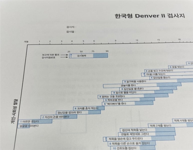발달검사 - 덴버발달선별 검사 (Denver II ) : 네이버 블로그
