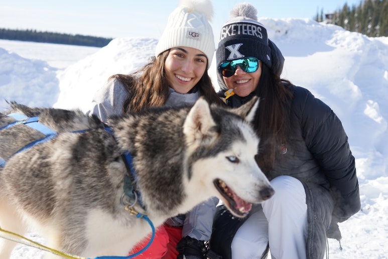 3월 [알래스카 여행] "페어뱅크스 허스키 개썰매 투어 - Husky Dogs Sledding in Fairbanks ...