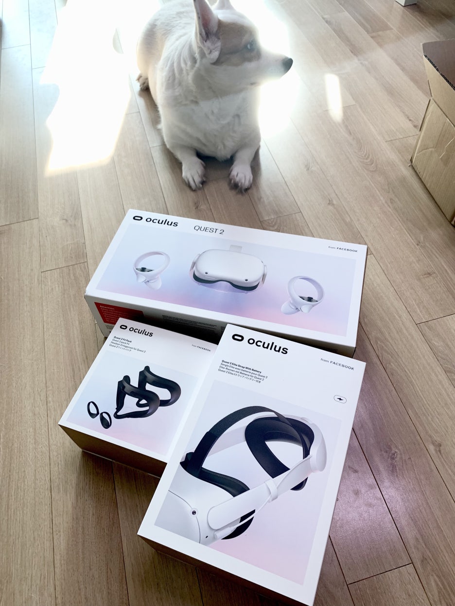 Oculus Quest 2 : 네이버 블로그