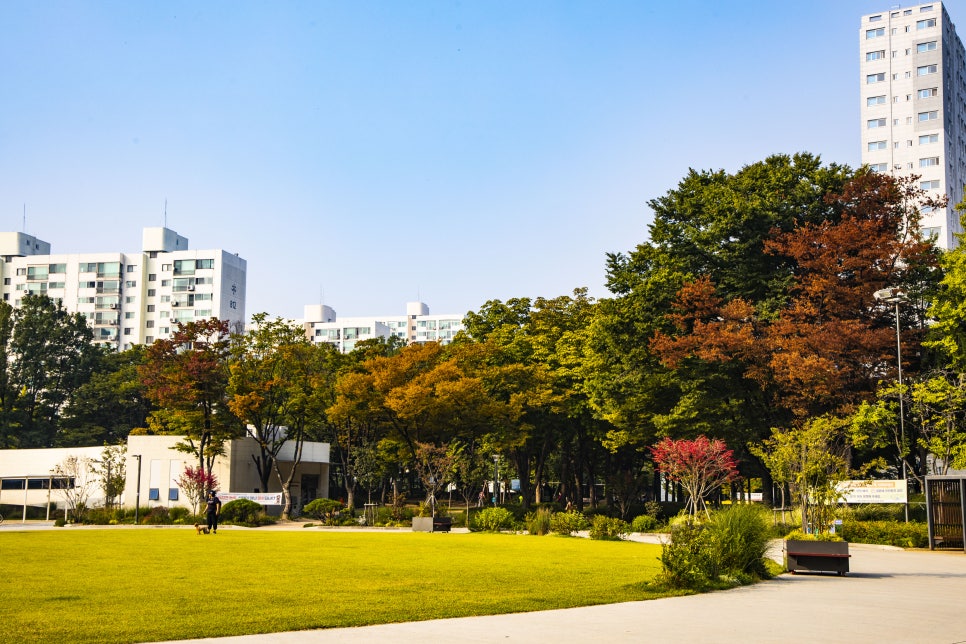 양천구 가볼만한 곳 - 가을을 준비하는 양천공원(국제운전면허증) : 네이버 블로그