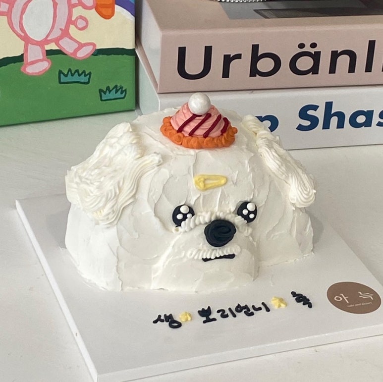 서울송파잠실강남 레터링케이크 당일케이크 소주케이크 브라이덜샤워 티아라 루피케이크 쿼카케이크 퀵 부모님케이크 플라워 케이크