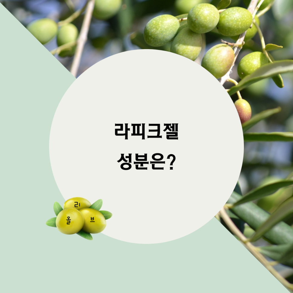 04 자극촉진젤 라피크젤 성분 관계젤 휴대용젤 러브부스터천연성분젤 천연성분 올리브 네이버 블로그